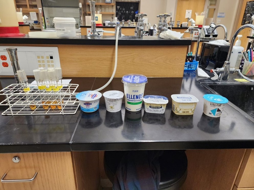 Lactobacillus: From Yogurt to Beer? – CWU Craft Brewing